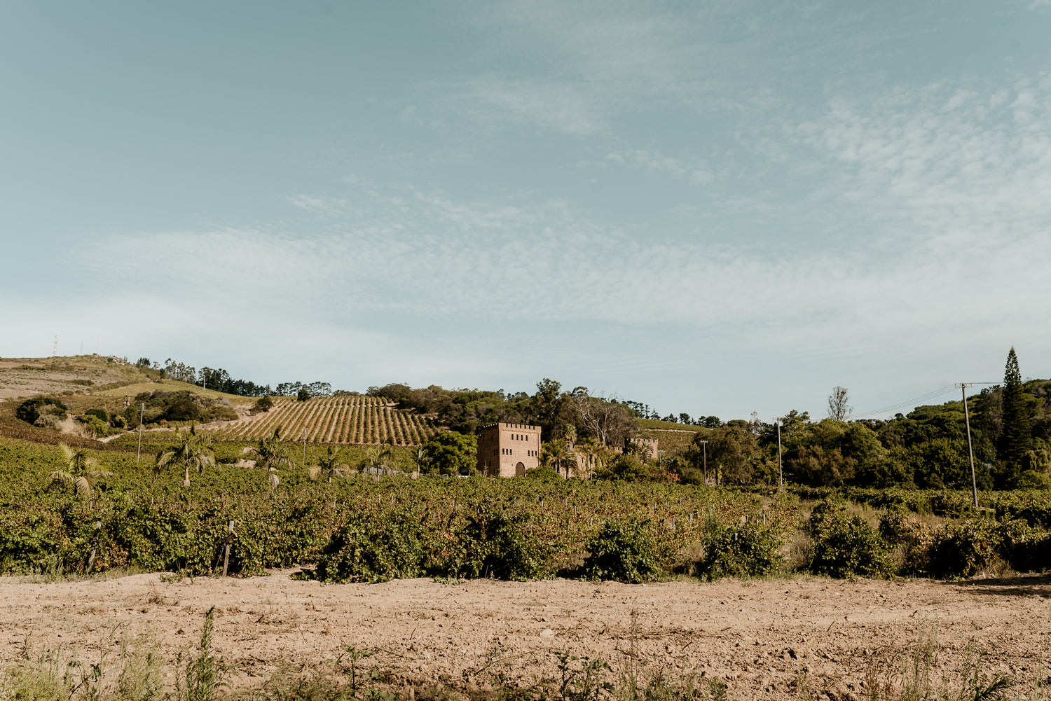 Fort Simon Wine Estate